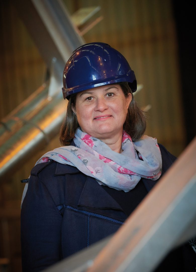 Figures - ConstruirAcier